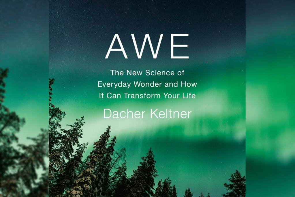 Dacher Keltner's book Awe: a crucial reminder to never stop looking ...